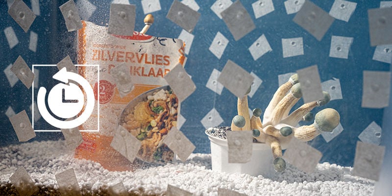 Uncle Ben’s Rice Tek: Low-Budget Shroom Cultivation